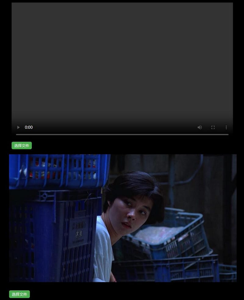 2023 H5视频播放器源码 支持本地视频播放带截图功能 - 会说资源网